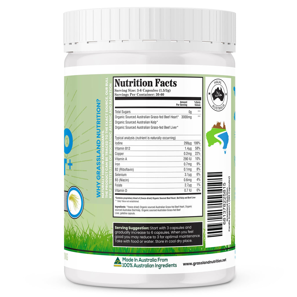 vitamin B12 for energy boost