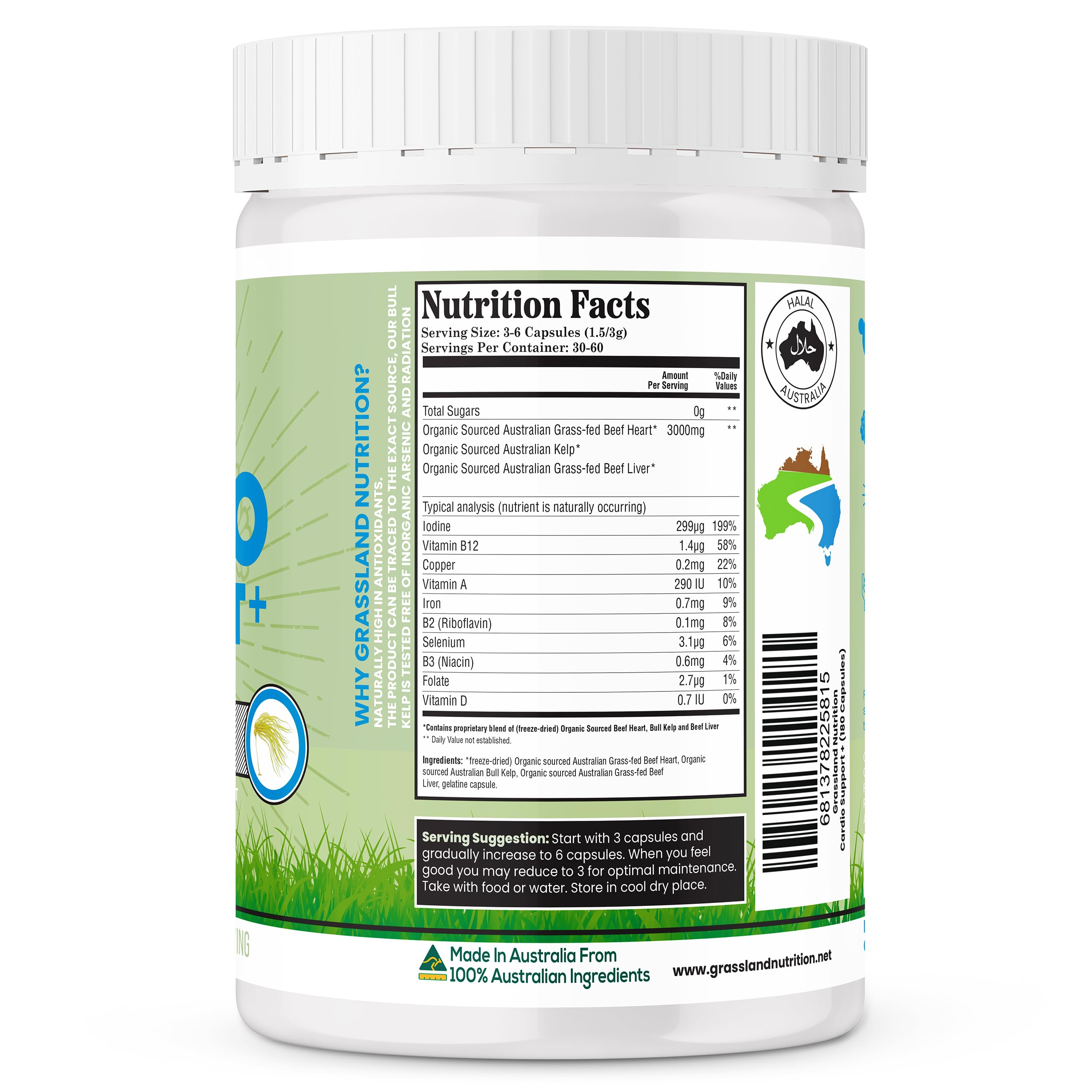 vitamin B12 for energy boost