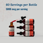vitamin b12 for energy support