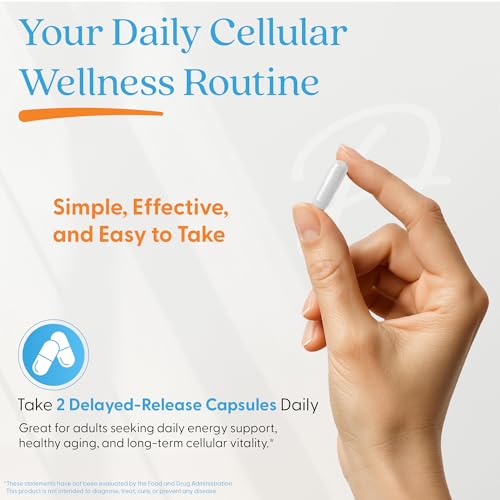Vitamin B12 for healthy aging