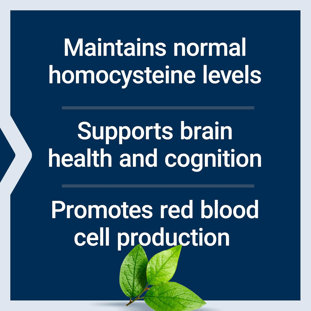 vitamin b12 for immune health