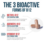 vitamin b12 for immune support