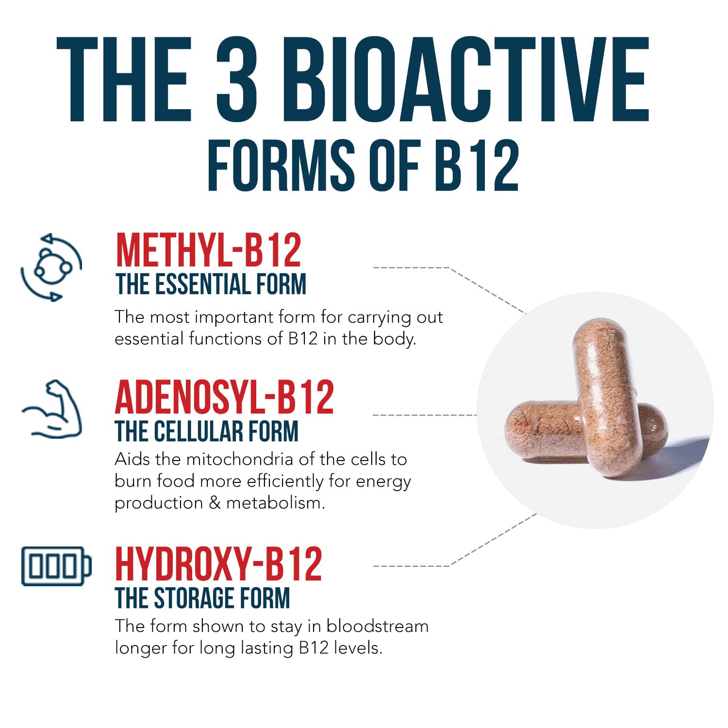 vitamin b12 for immune support