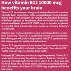 vitamin b12 for overall wellness