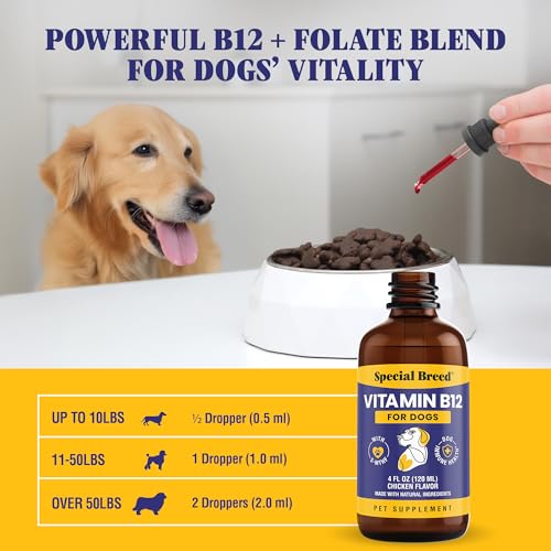 Vitamin B12 for overall wellness