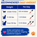 Vitamin B12 for senior cats