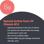 Vitamin B12 for vegan diets