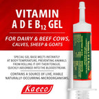 Vitamin B12 gel for energy boost