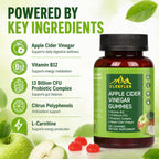 Vitamin B12 gummies for daily wellness