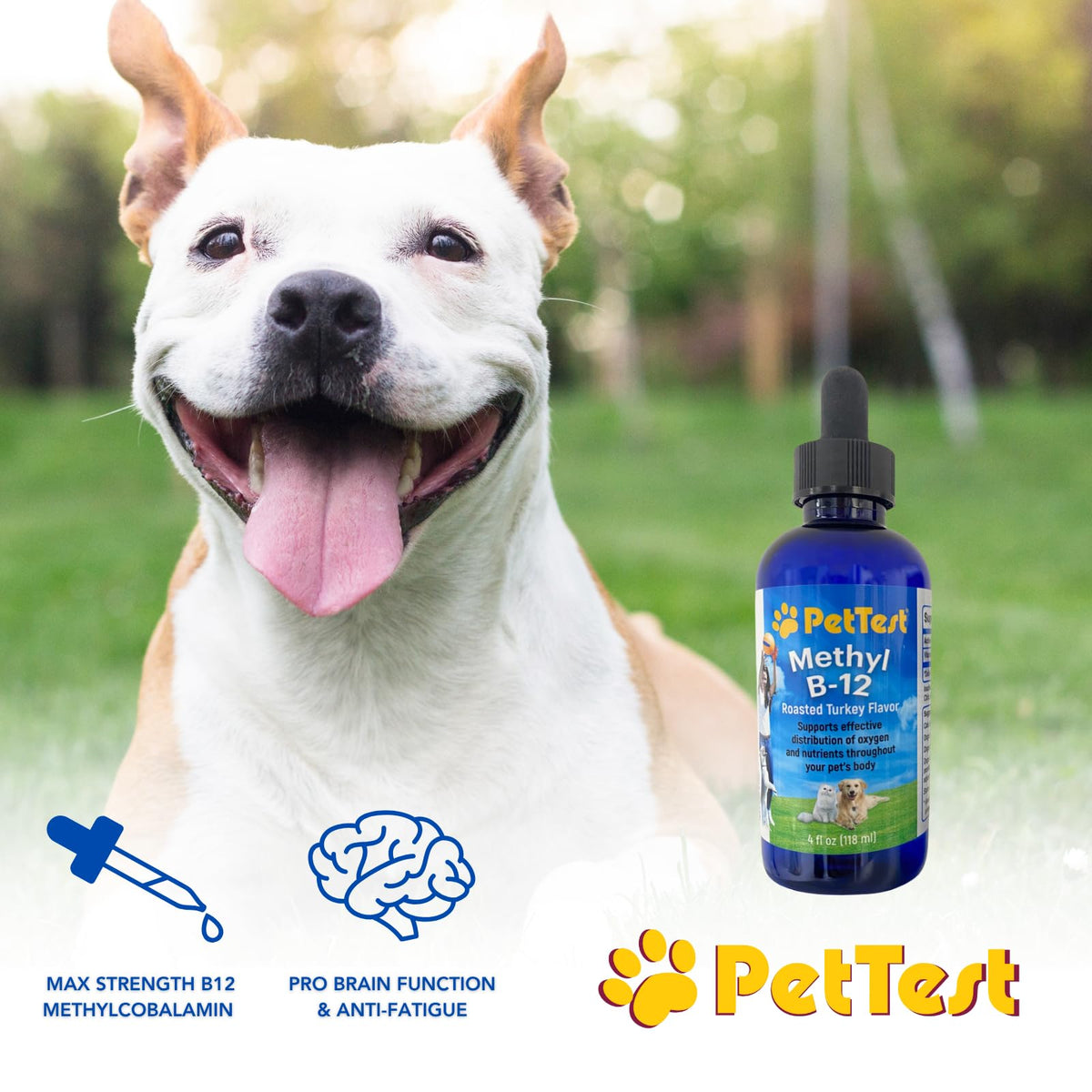 Vitamin B12 methylcobalamin for energy