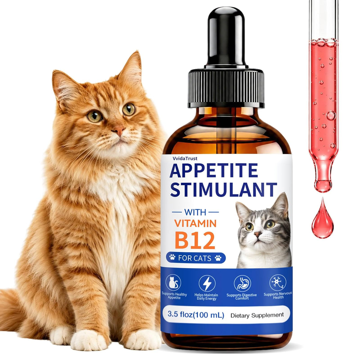 Vitamin B12 supplement for cats