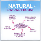 Vitamin B12 support for vegan diets