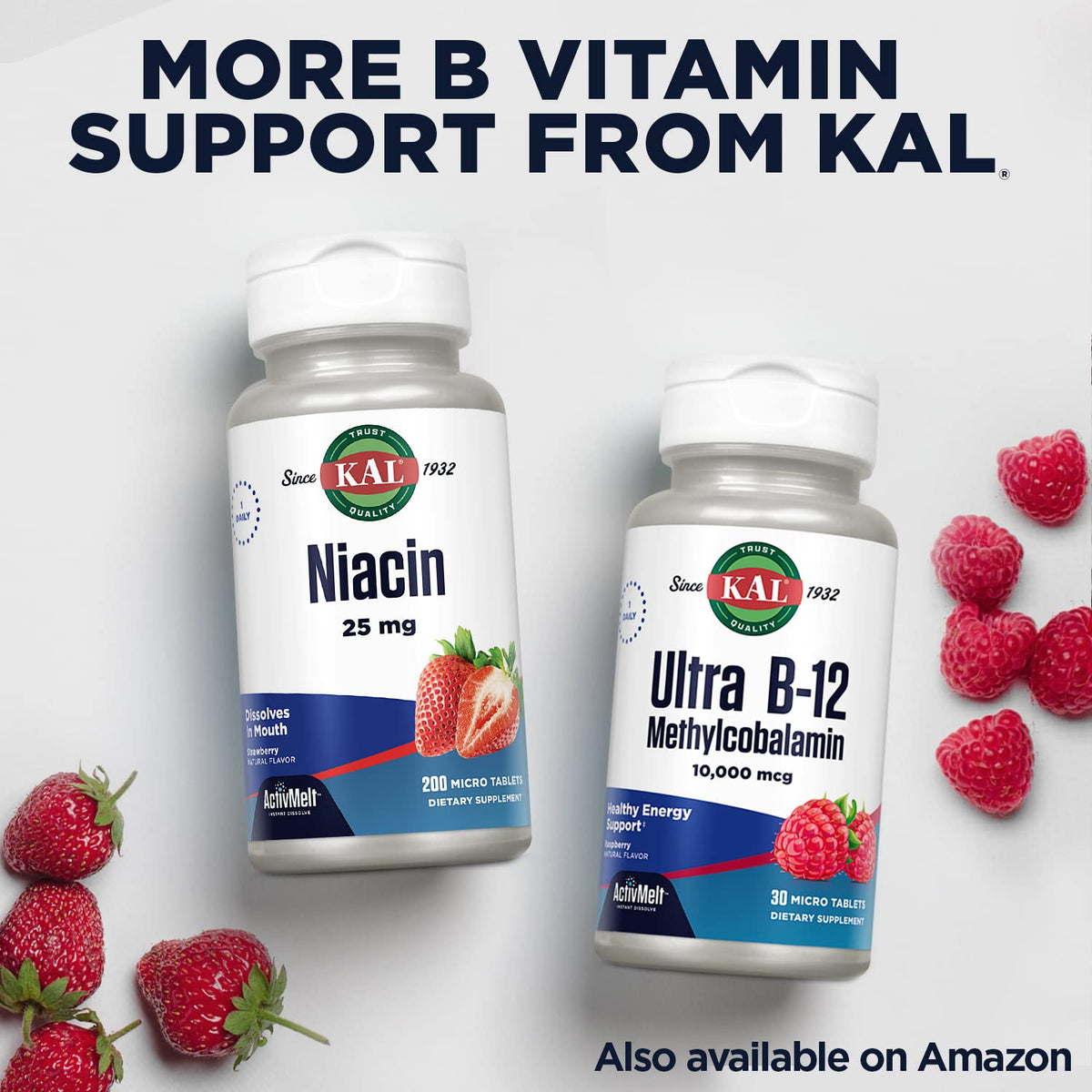 vitamin B12 support for vegans