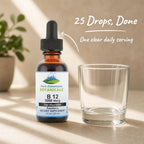 vitamin B12 support for vegetarians