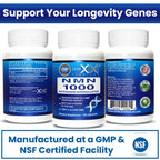 vitamin B12 support with NMN