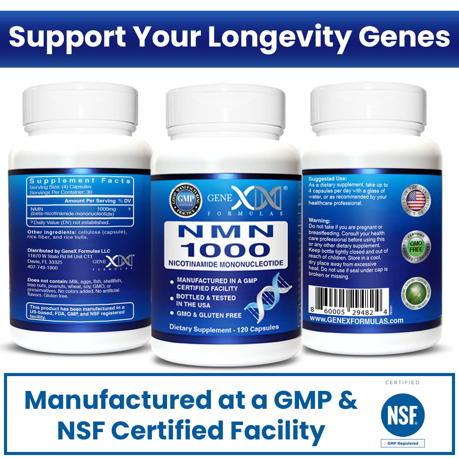 vitamin B12 support with NMN