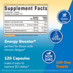 Vitamin B2 for energy production