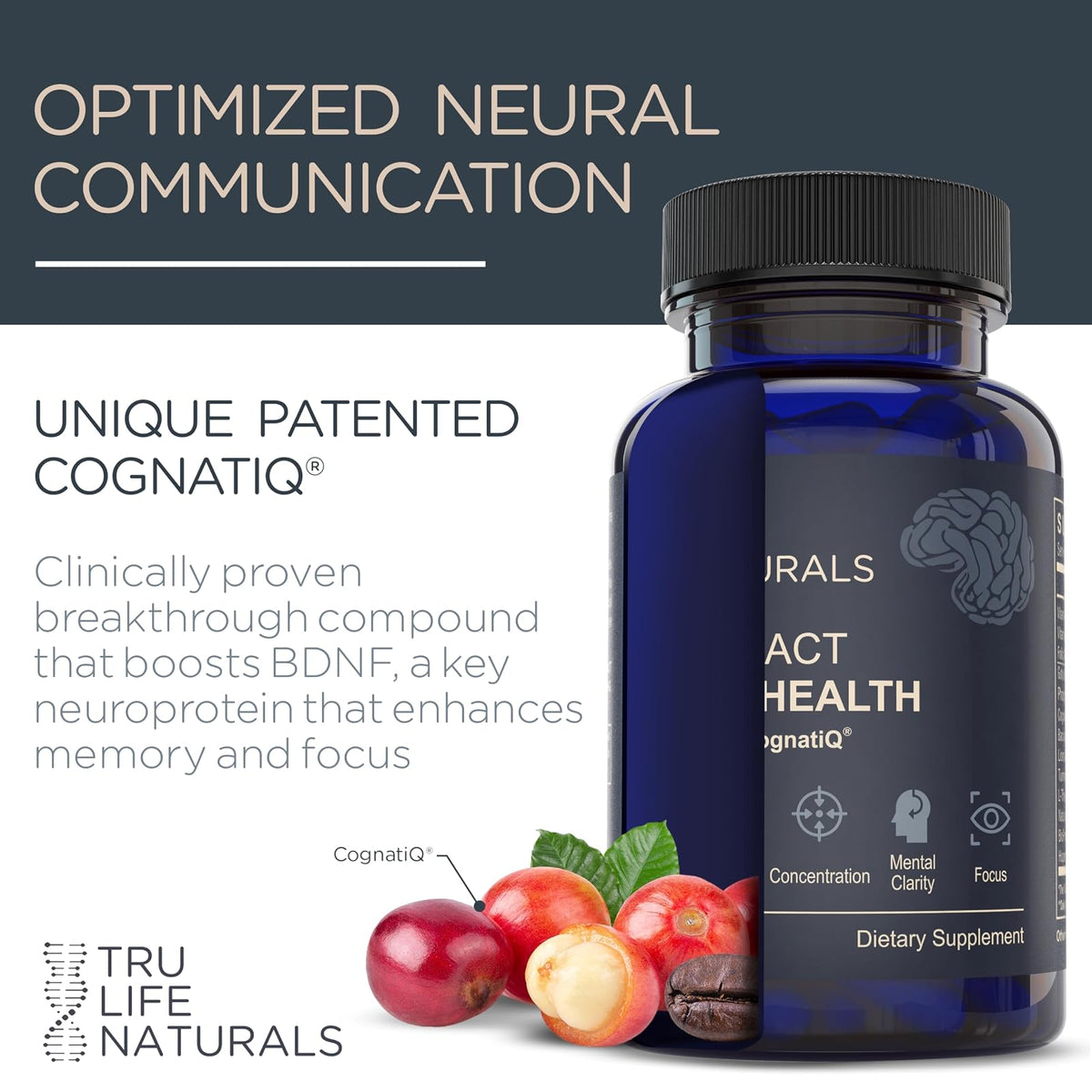 vitamin b3 and b6 for energy