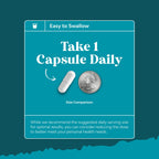 Vitamin B3 capsules for daily use