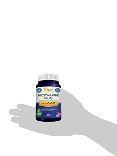Vitamin B3 capsules for overall wellness