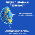 Vitamin B3 for energy and vitality