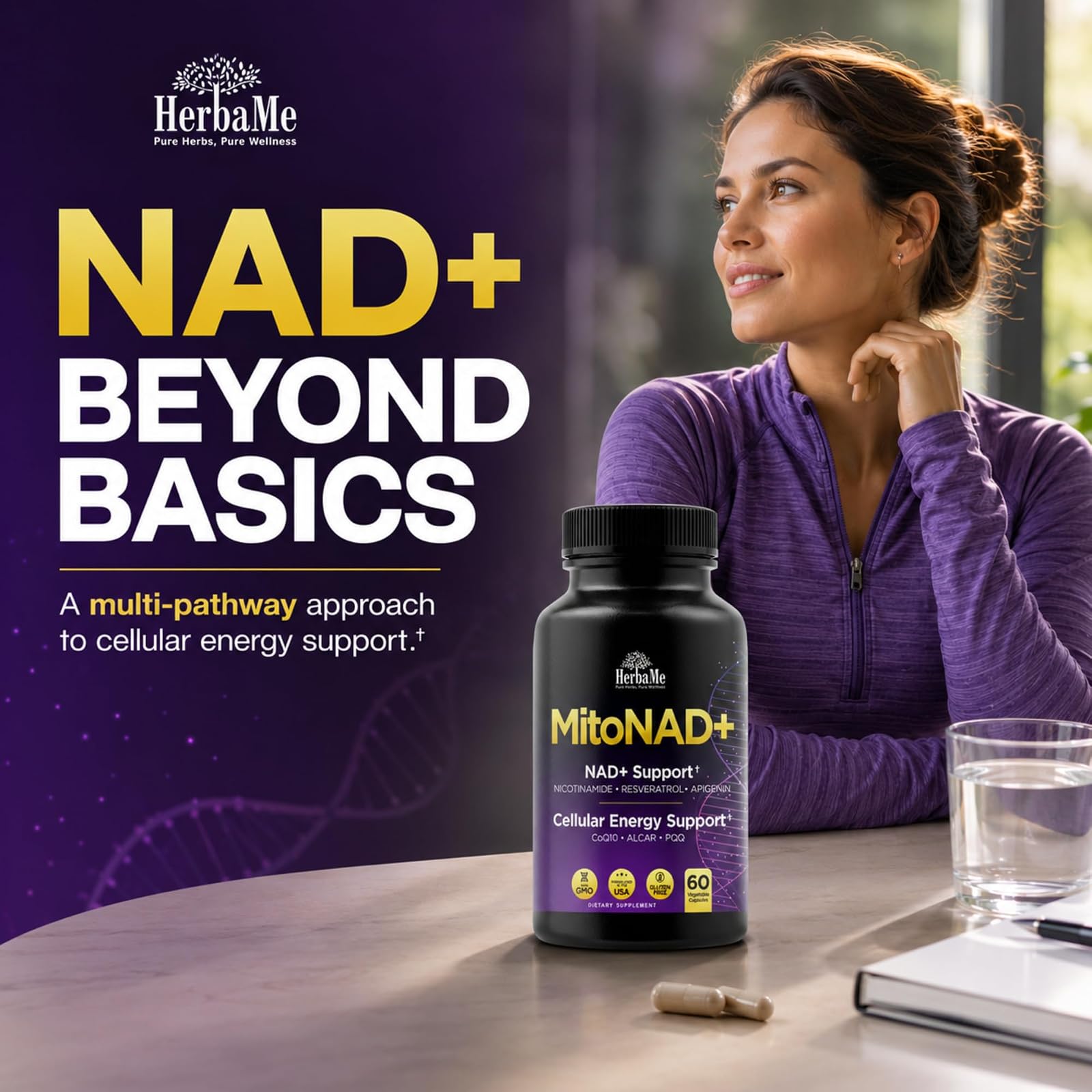 Vitamin B3 for energy metabolism