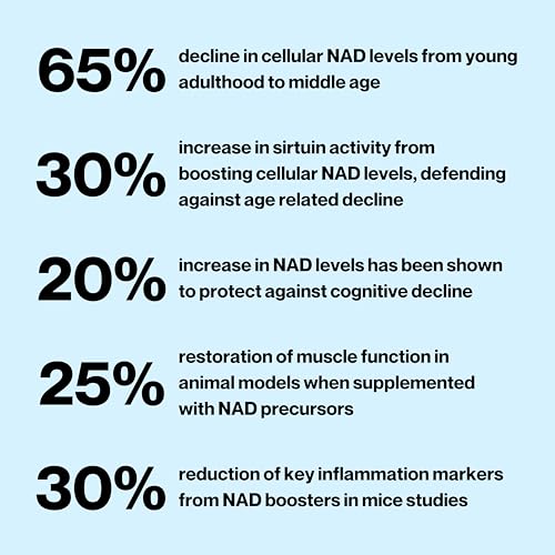 Vitamin B3 for energy support