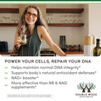 Vitamin B3 for energy support