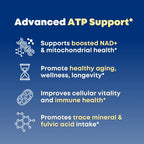 Vitamin B3 for energy support