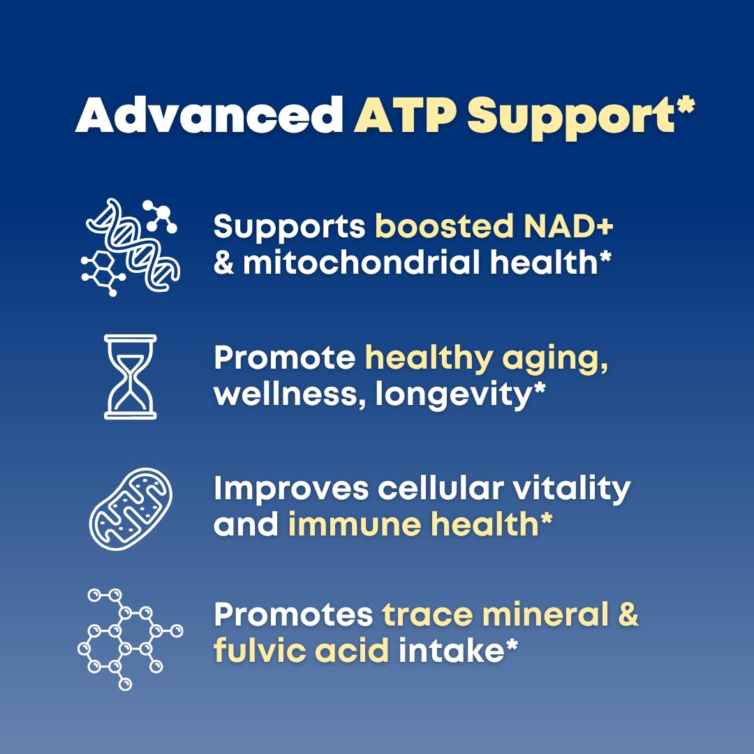 Vitamin B3 for energy support