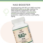 Vitamin B3 for energy support