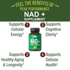 Vitamin B3 for energy support
