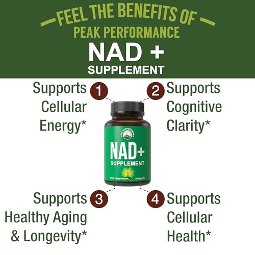 Vitamin B3 for energy support