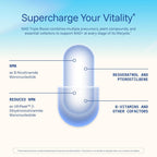 Vitamin B3 for enhanced energy levels