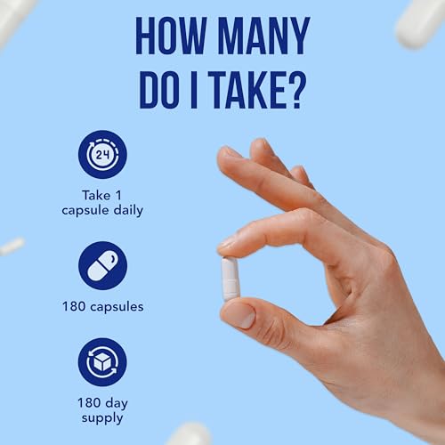 Vitamin B3 immune system support
