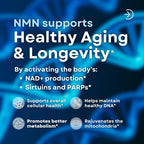 Vitamin B3 NMN 60 capsules
