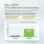 Vitamin B3 NMN capsules for wellness