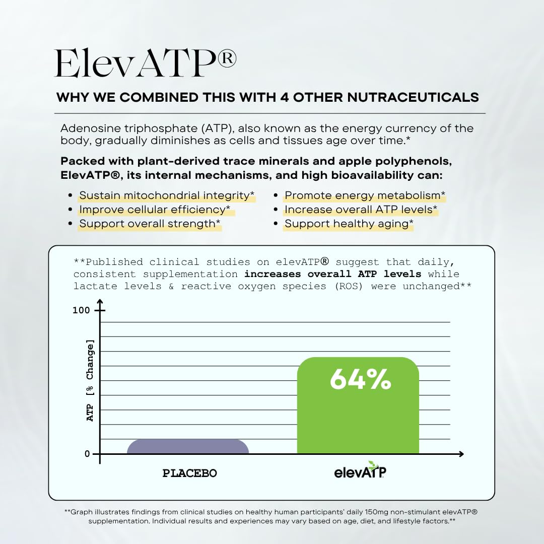 Vitamin B3 NMN capsules for wellness