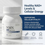 Vitamin B3 NMN for healthy aging