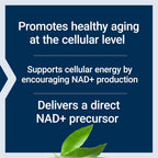 Vitamin B3 supplement for energy