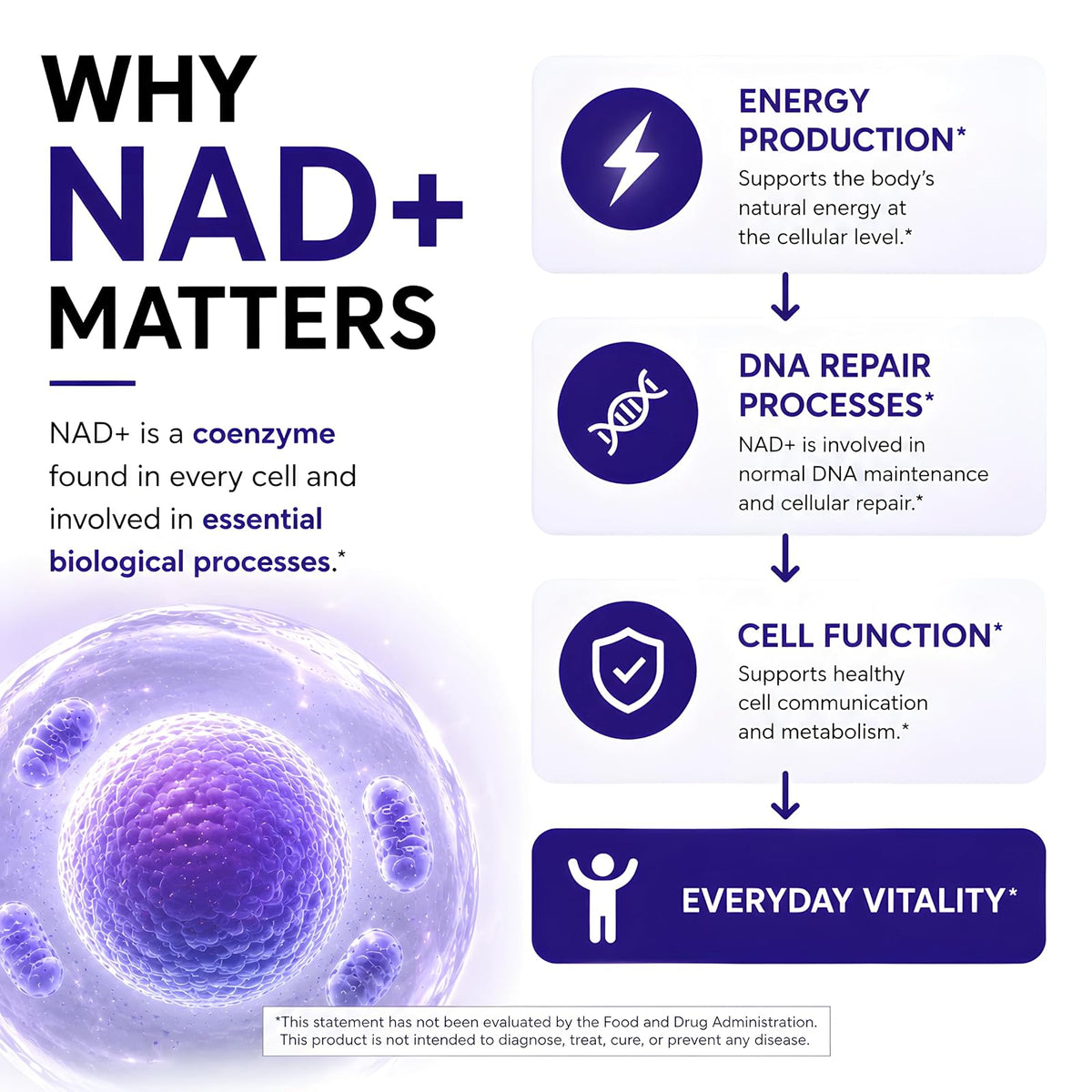Vitamin B3 supplement for vitality