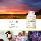 Vitamin B3 support for cellular health