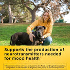 Vitamin B6 100 mg for mood support