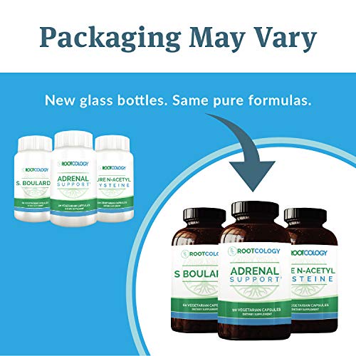 Vitamin B6 B12 folate for wellness