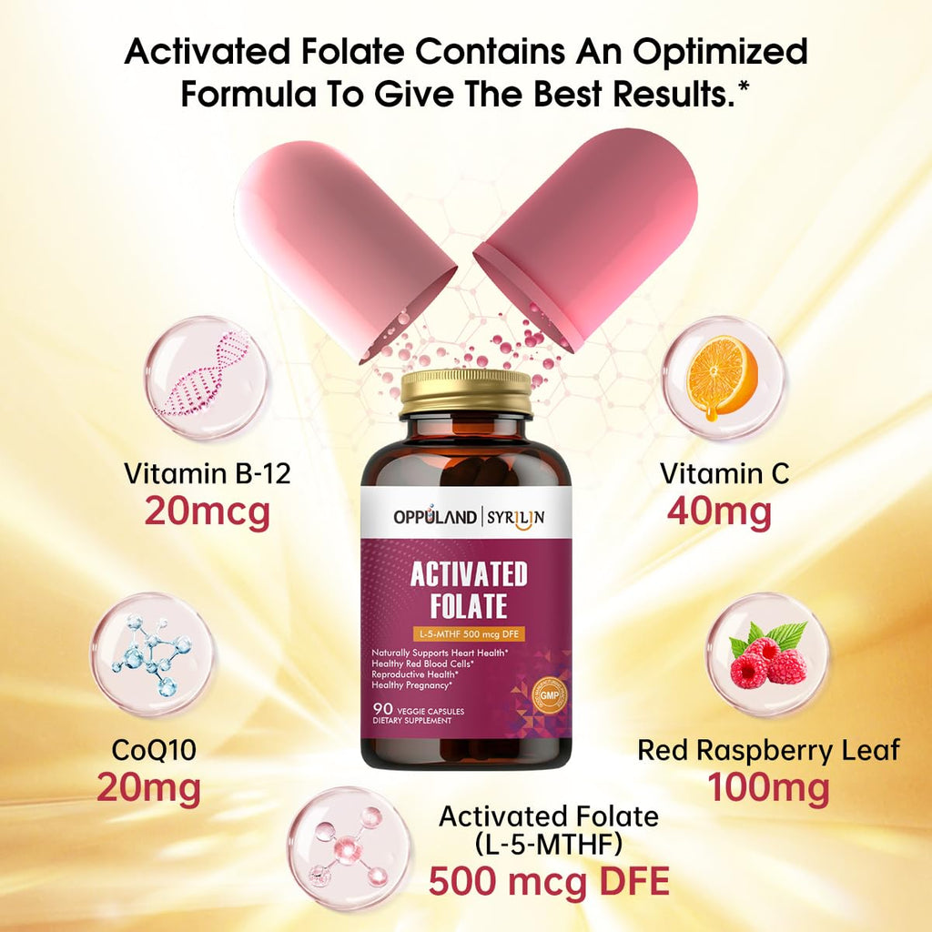 Vitamin B9 for energy support