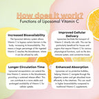 vitamin c 1000mg antioxidant support