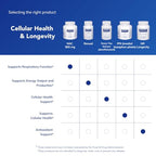 Vitamin C and NAC for vitality
