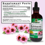 Vitamin C and zinc echinacea benefits