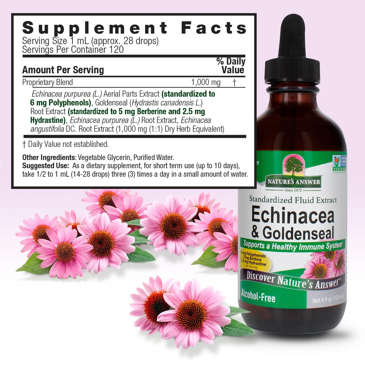 Vitamin C and zinc echinacea benefits