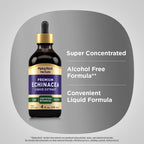 vitamin C and zinc echinacea benefits